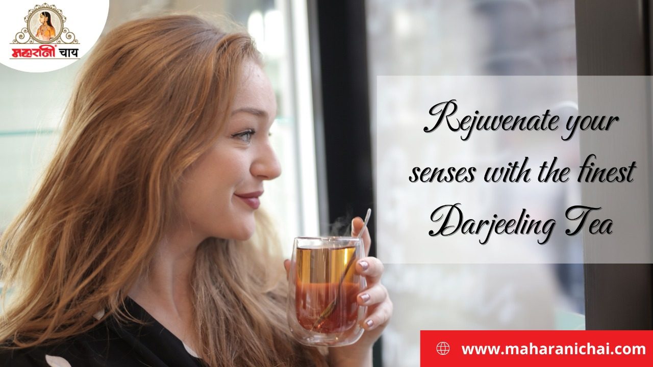 Rejuvenate your senses with the finest Darjeeling Tea