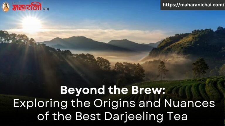 Beyond the Brew: Exploring the Origins and Nuances of the Best Darjeeling Tea - Maharani Chai